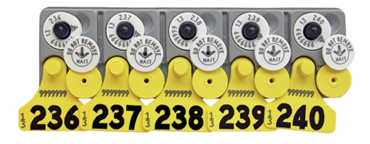 Precision ranching: Make money using electronic ID eartags for cattle ...