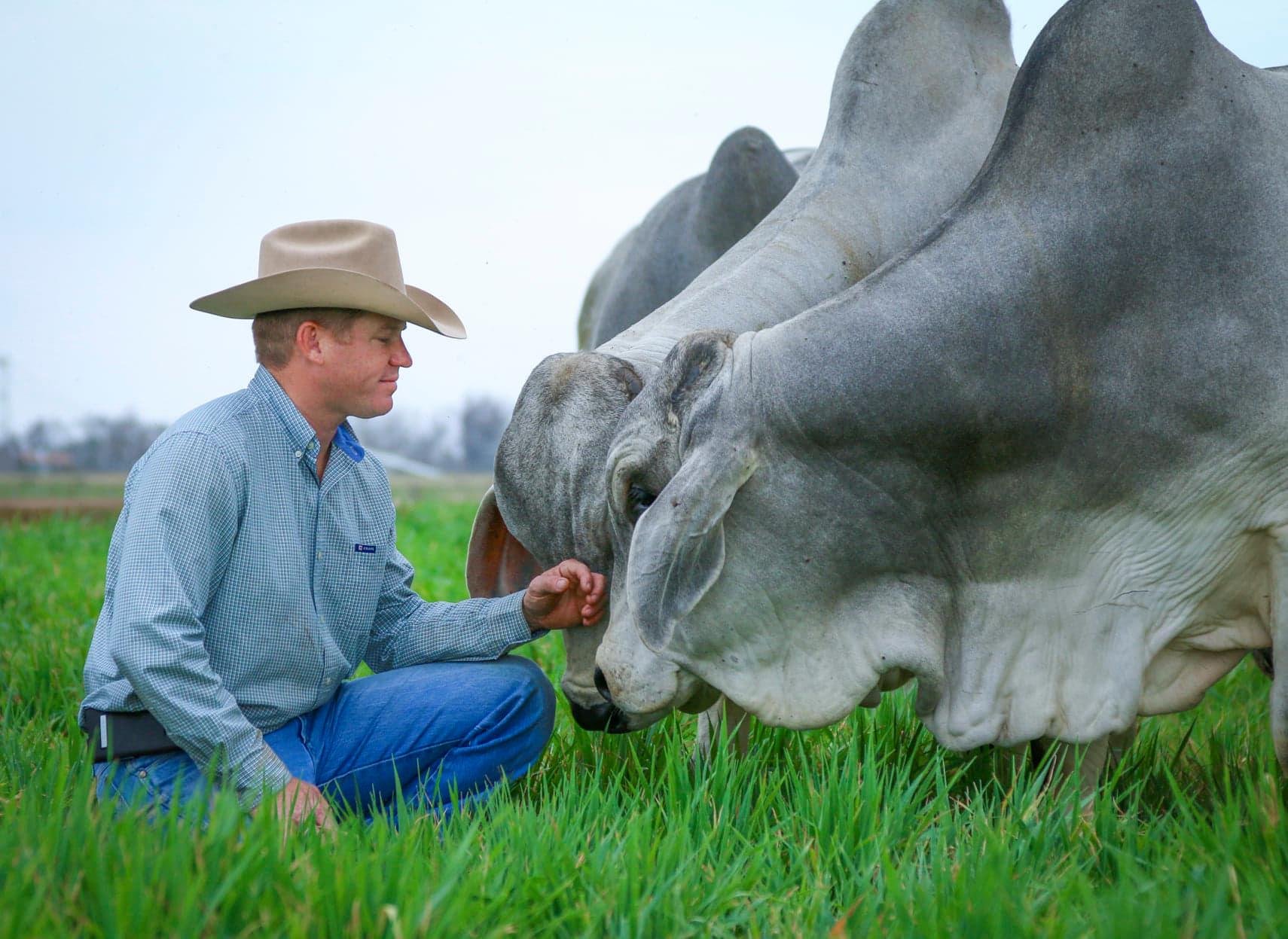 How John Coleman Locke achieved a stocking density of 100,000 lbs/acre ...